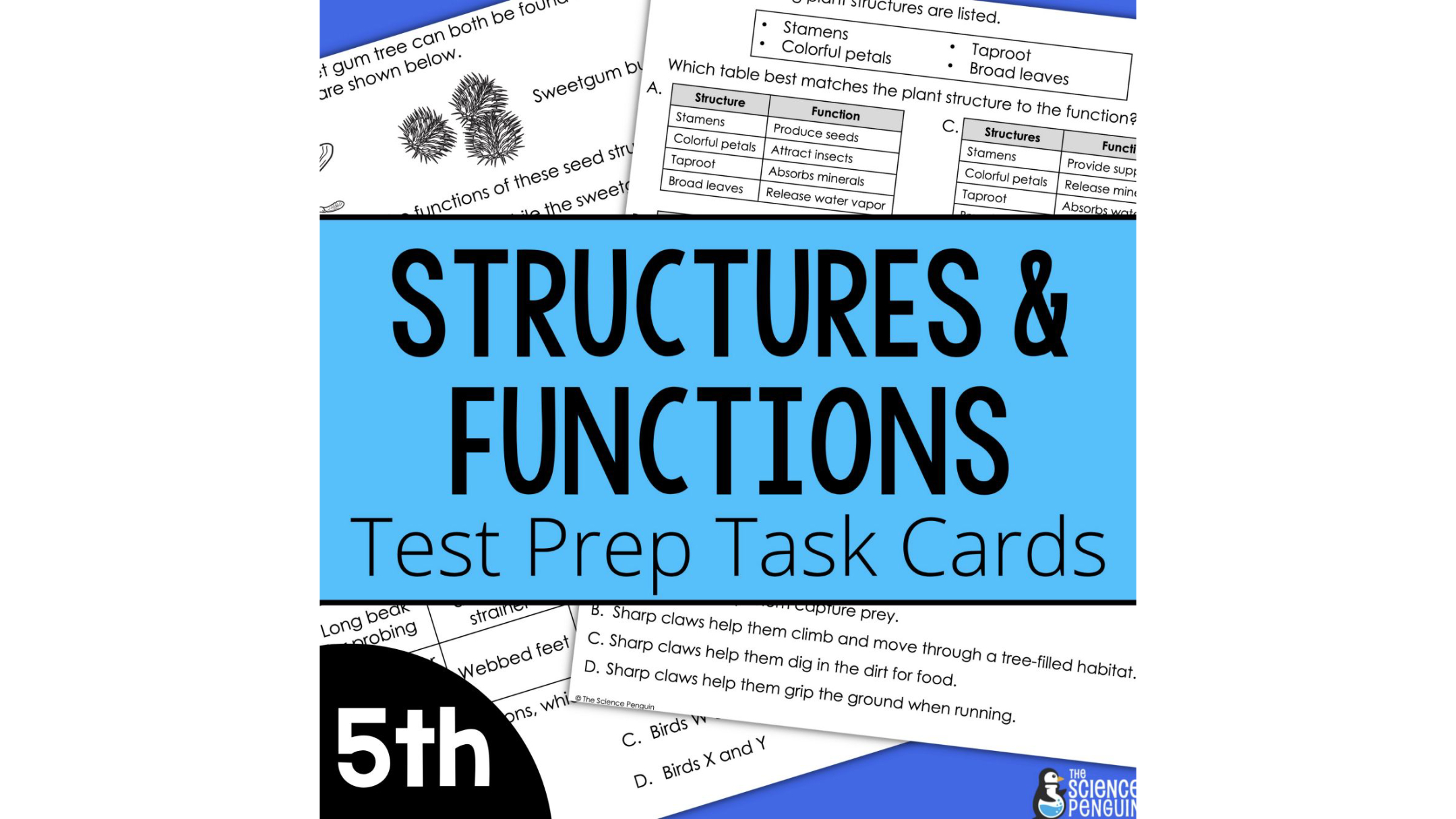 Structures and Functions STAAR Review Lesson